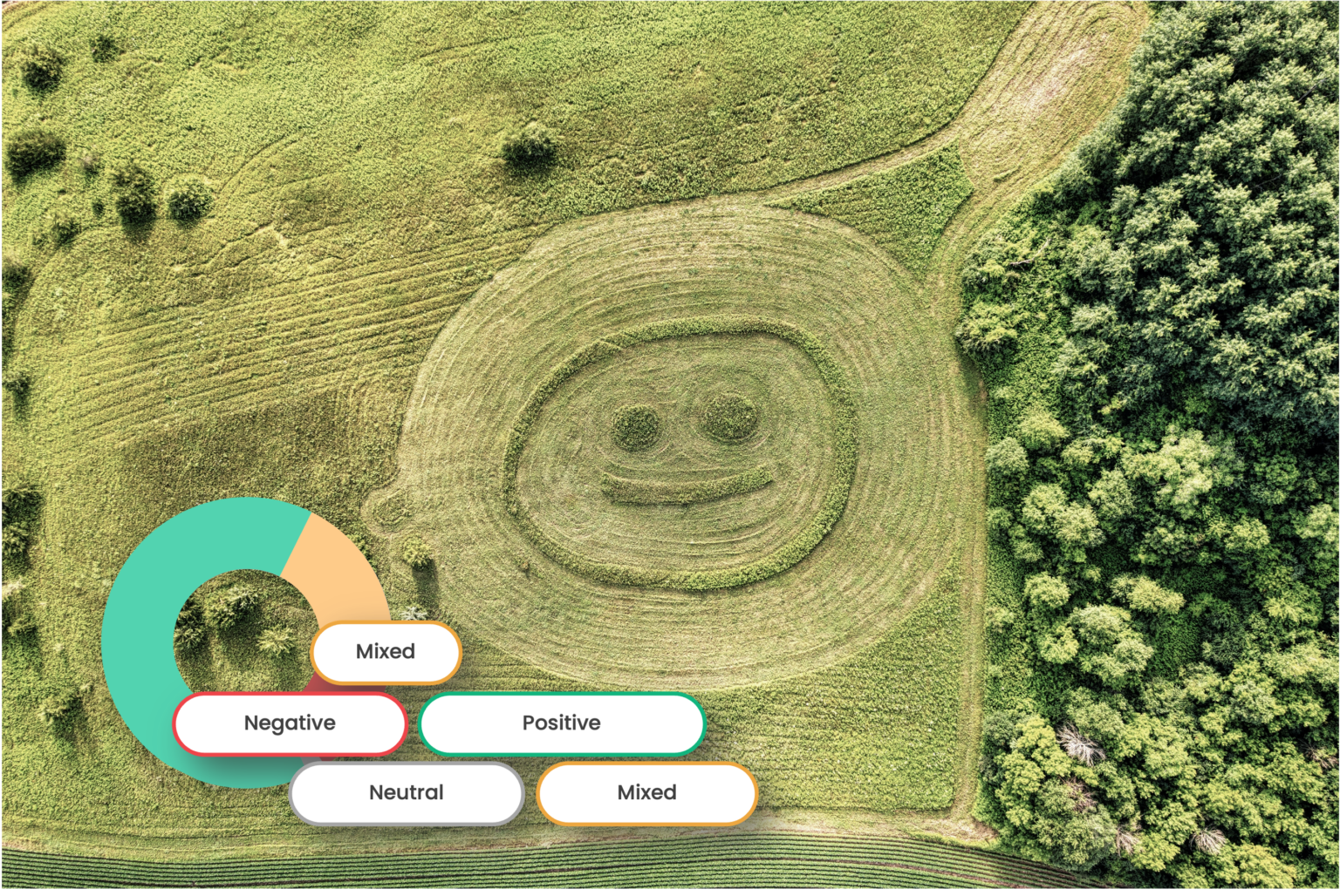 A practical guide to sentiment analysis tools for business – Netigate